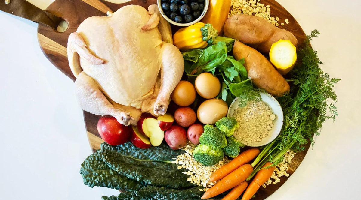 Of Hypoallergenic Dogs and Hypoallergenic Foods The Myth of ...