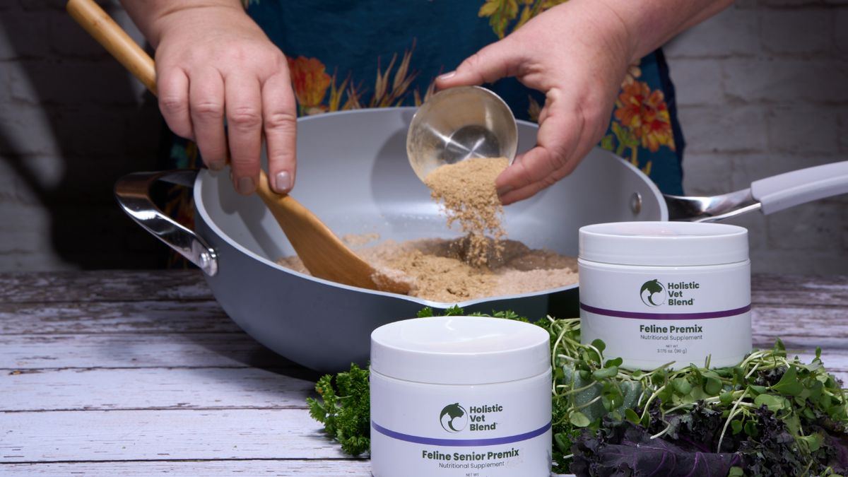 Easy Homemade Ground Turkey Cat Food Recipe | Holistic Vet Blend