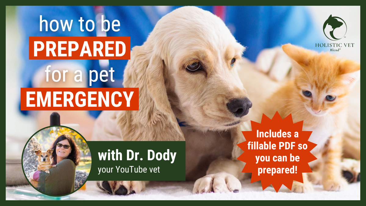 8 Tips to Prepare for any Pet Emergency | Holistic Vet Blend
