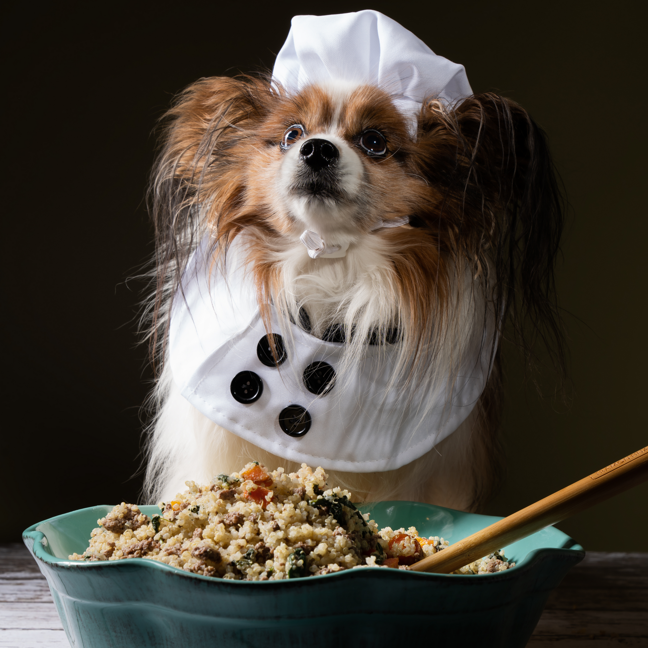 Canine Regular Premix with Grass-fed Beef Liver | Holistic Vet Blend