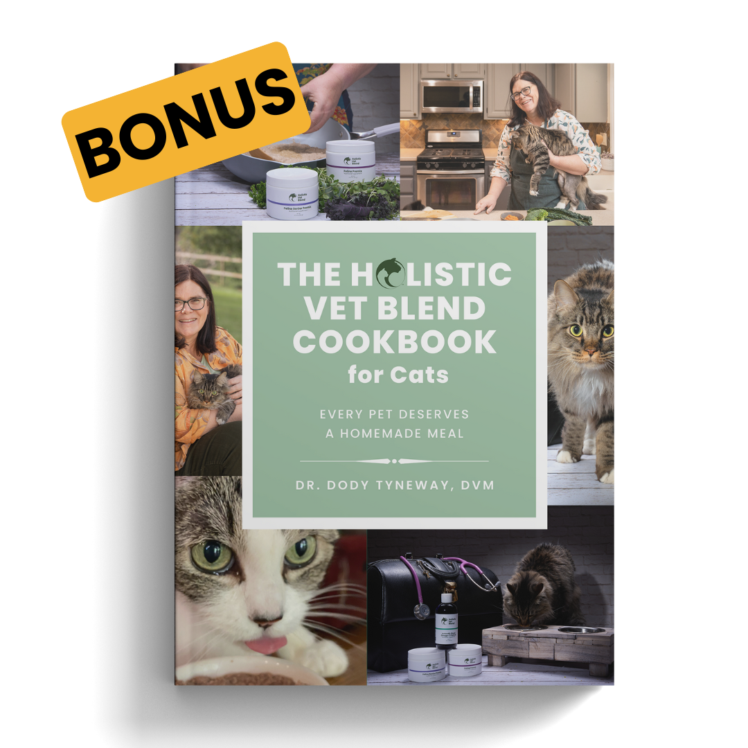 Adult Cat Essentials Starter Pack | Holistic Vet Blend