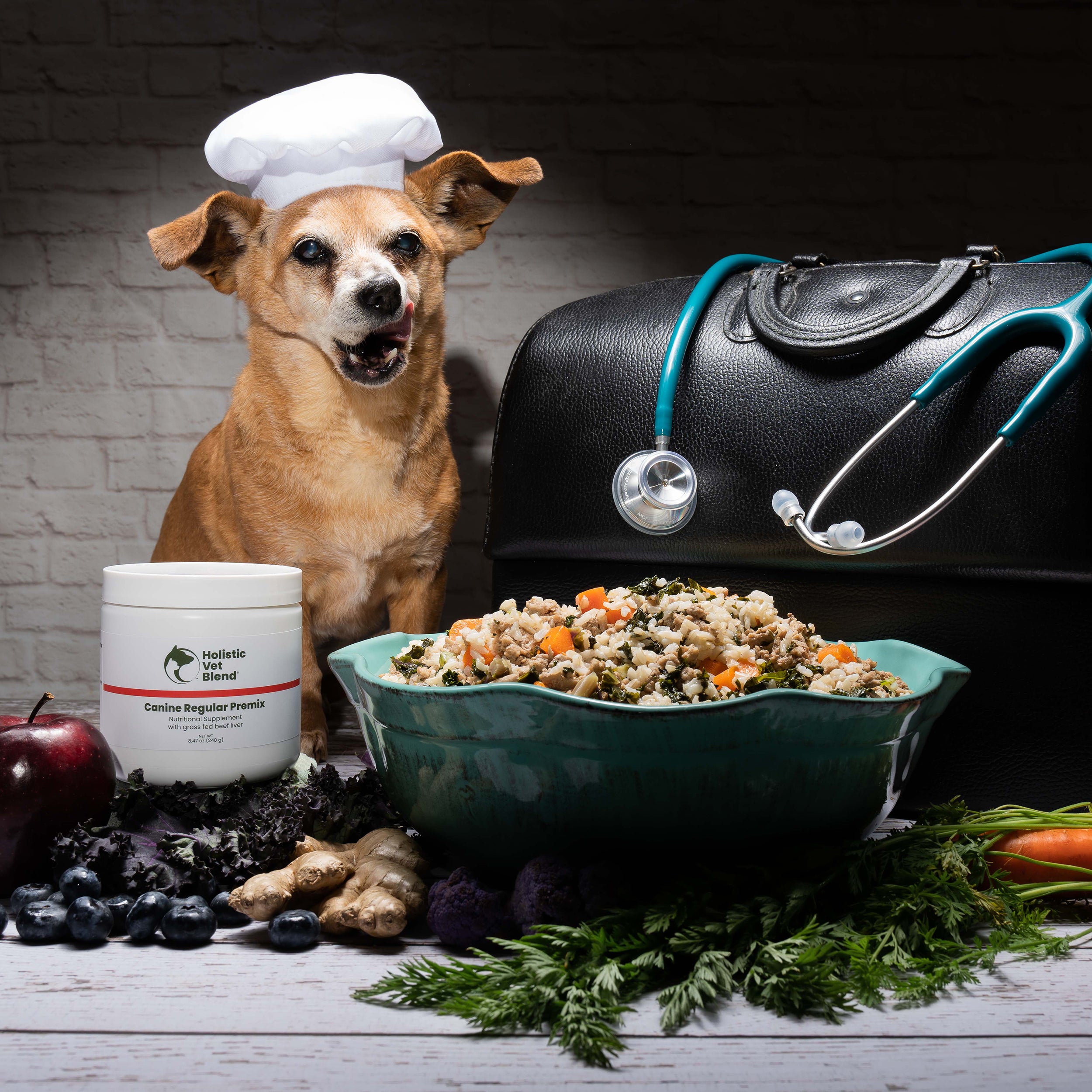Canine Regular Premix with Grass-fed Beef Liver | Holistic Vet Blend